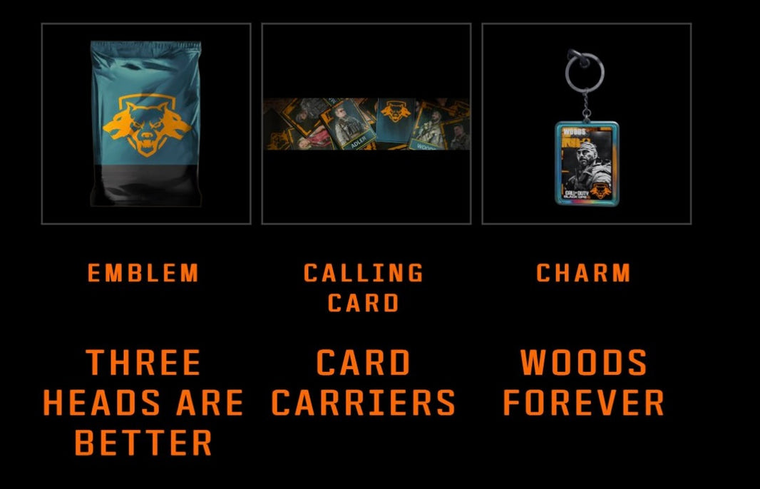 All Exclusive Call of Duty Rewards – Page 2 – COD SKINS STORE